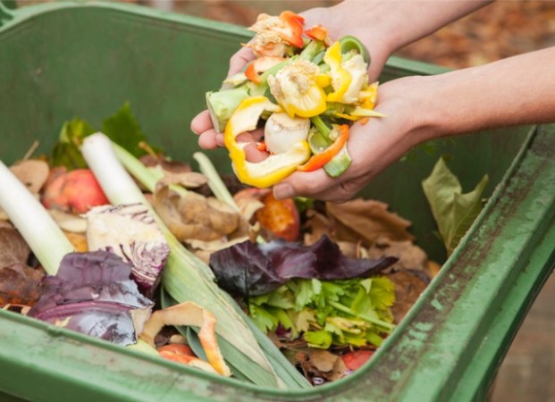 Composting for Beginners: How to Get Started Today — Bob Vila