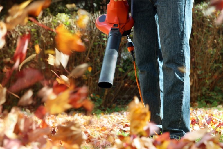 How to Use a Leaf Blower (Beginner's Guide) - Bob Vila