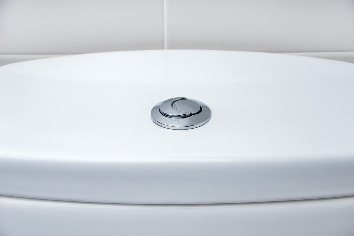 Low-Flow and Low-Flush Toilets: Less Water, More Savings