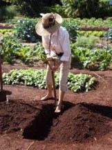 Double Digging Your Garden - Bob Vila