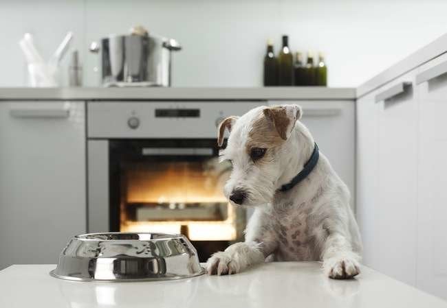 Cracks in Walls? Here's Exactly How Concerned You Should Be - Bob Vila