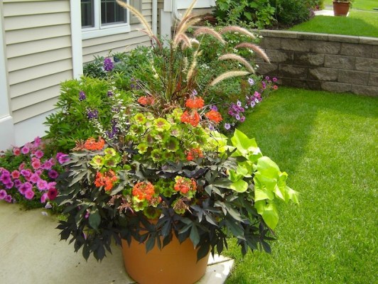Container Gardening Tips - Bob Vila