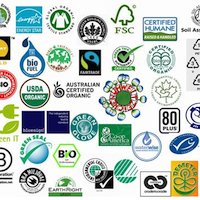 What Is FSC-Certified Wood, and Should I Buy It? - Bob Vila