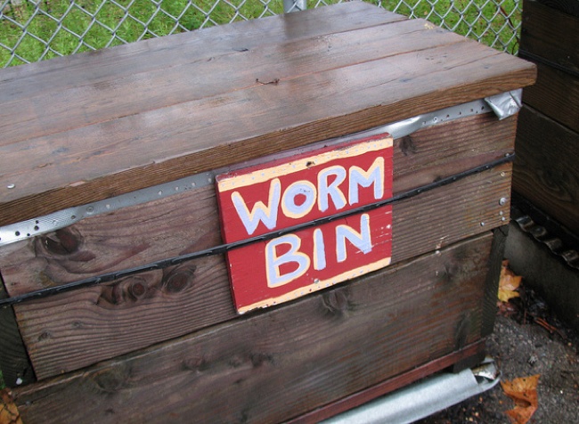 How to Make a Worm Bin - Bob Vila