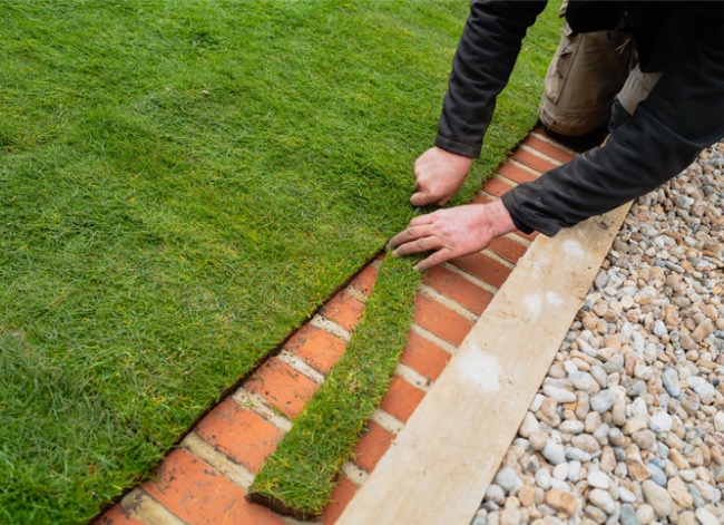 Laying Sod: A Step-by-Step Guide to a Lush Lawn — Bob Vila