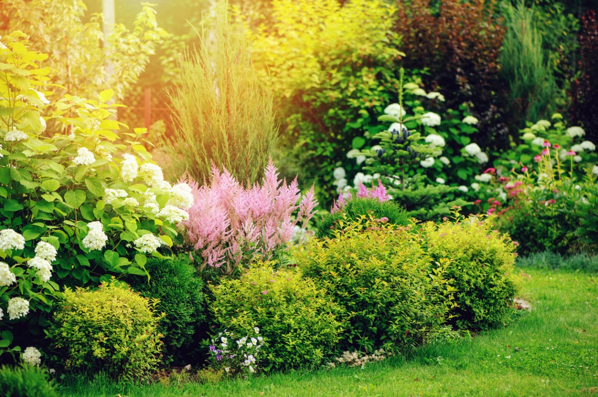 How to Plant a Bush or Shrub - Bob Vila