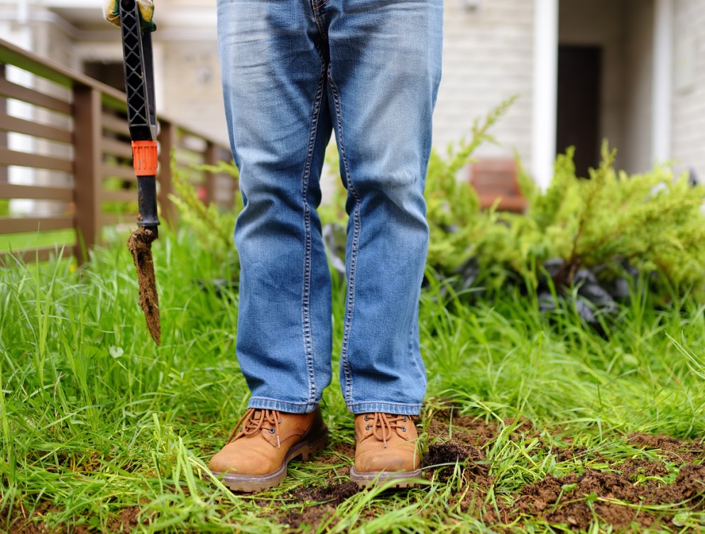 How to Plant a Bush or Shrub - Bob Vila