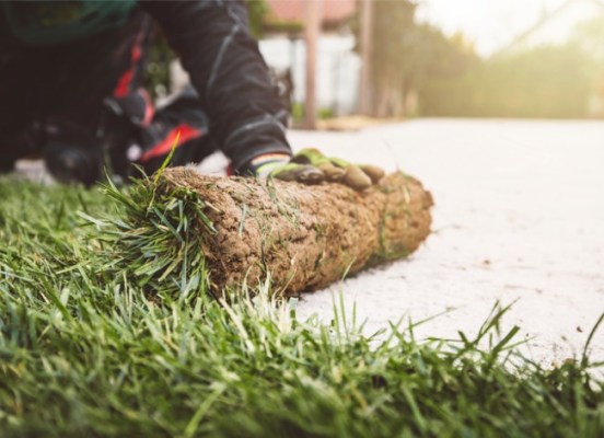 Laying Sod: A Step-by-Step Guide to a Lush Lawn — Bob Vila