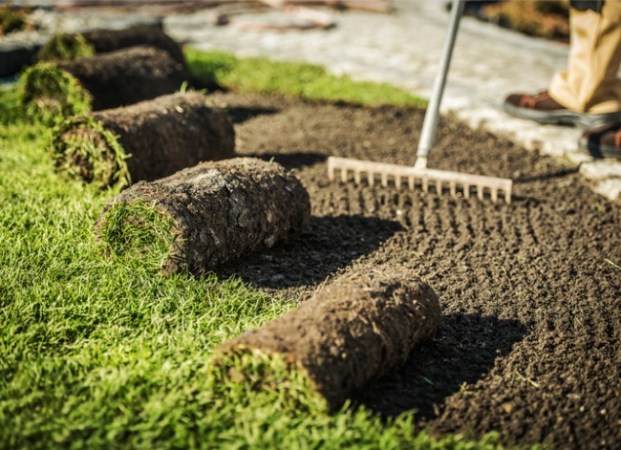 Laying Sod: A Step-by-Step Guide to a Lush Lawn — Bob Vila