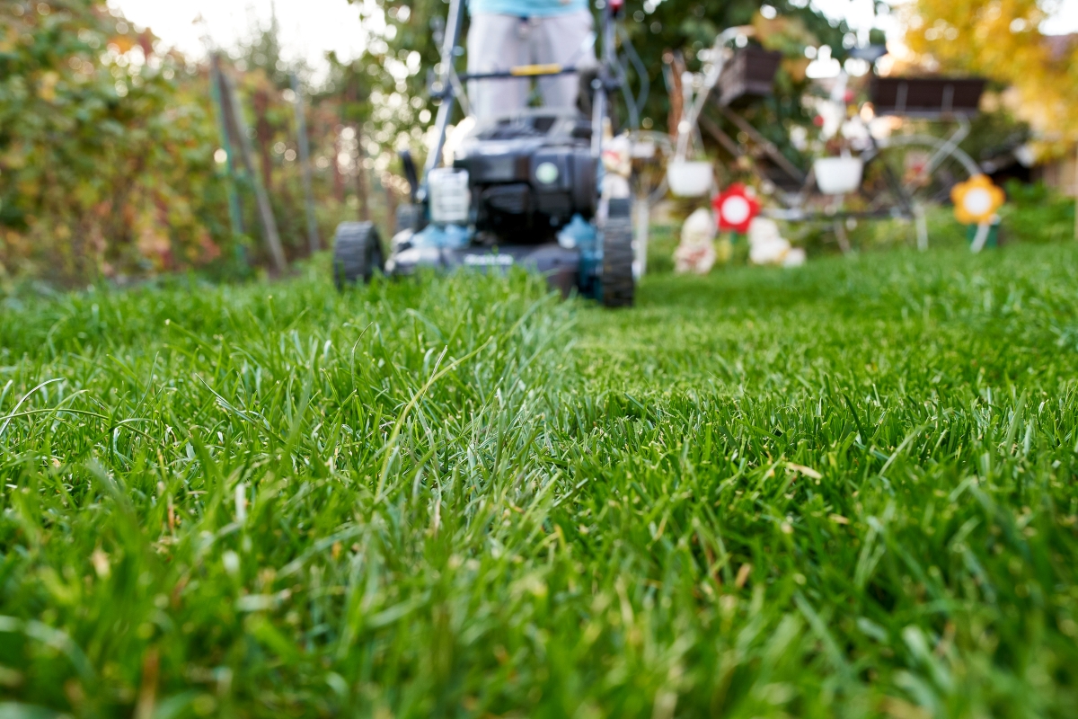 Lawn Care - Bob Vila