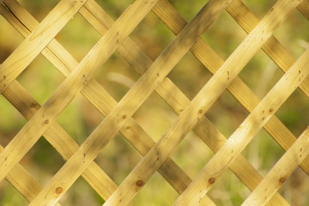 How to Build a Trellis (The Quick and Easy Way) - Bob Vila