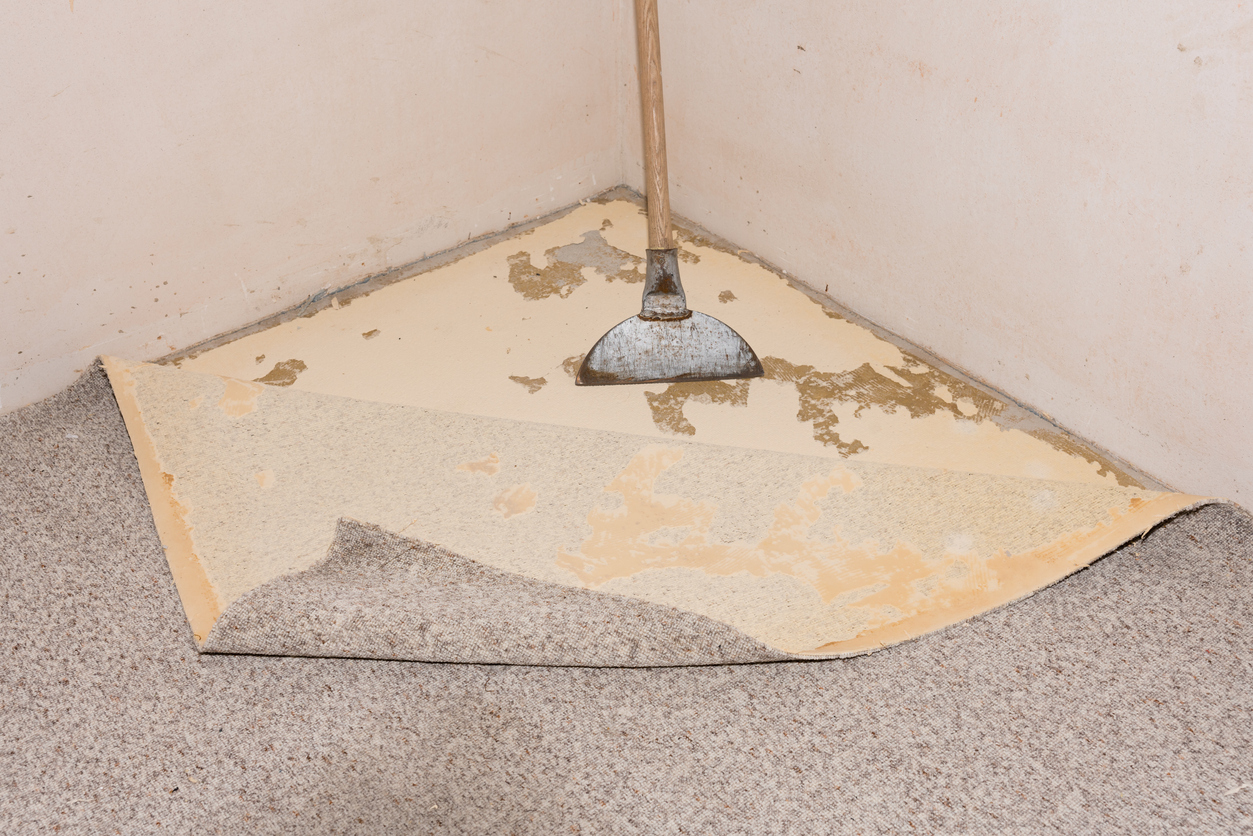 How to Install Carpet: A Step-by-Step Guide — Bob Vila