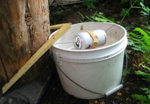 Homemade Mouse Trap (Easy DIY Project) - Bob Vila