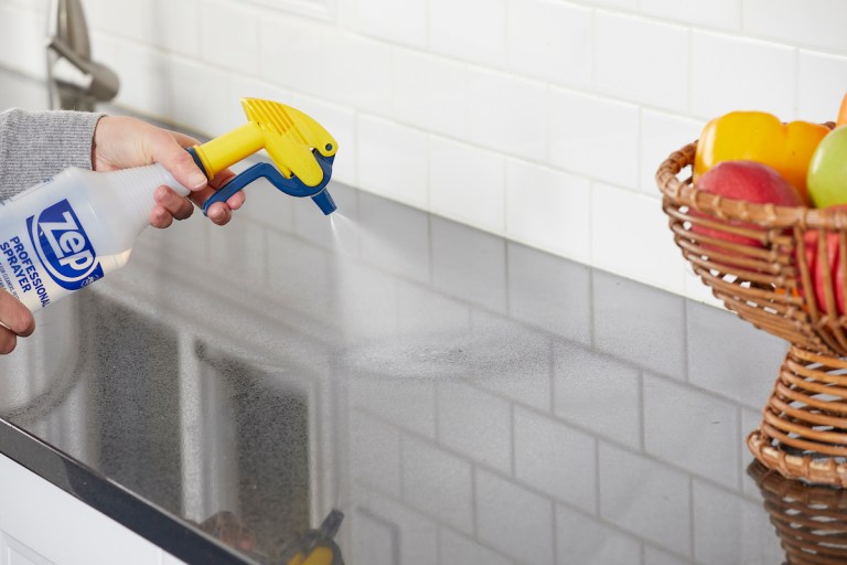 How to Get Rid of Fruit Flies: 5 DIY Traps