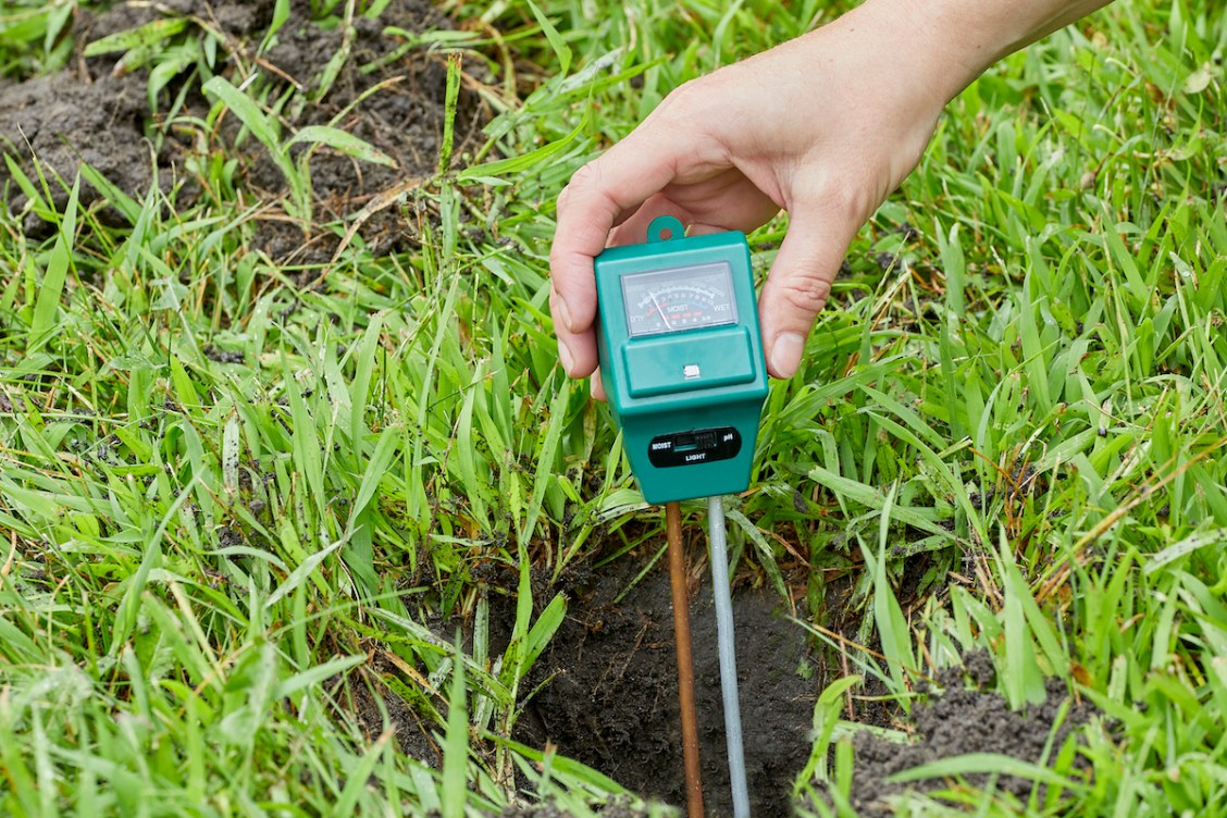 How to Test Soil pH