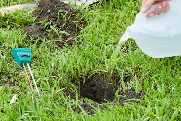 How to Test Soil pH