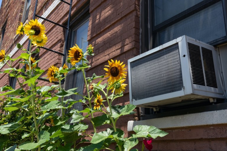 How to Install a Window AC Unit: Step-by-Step Instructions