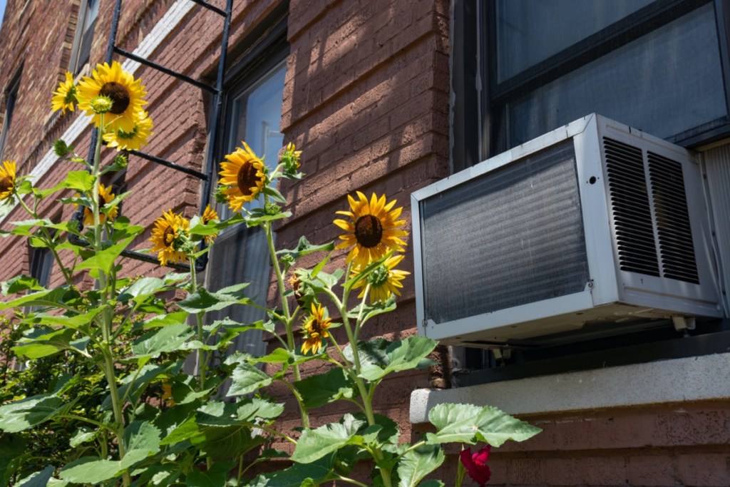How to Install a Window AC Unit: Step-by-Step Instructions