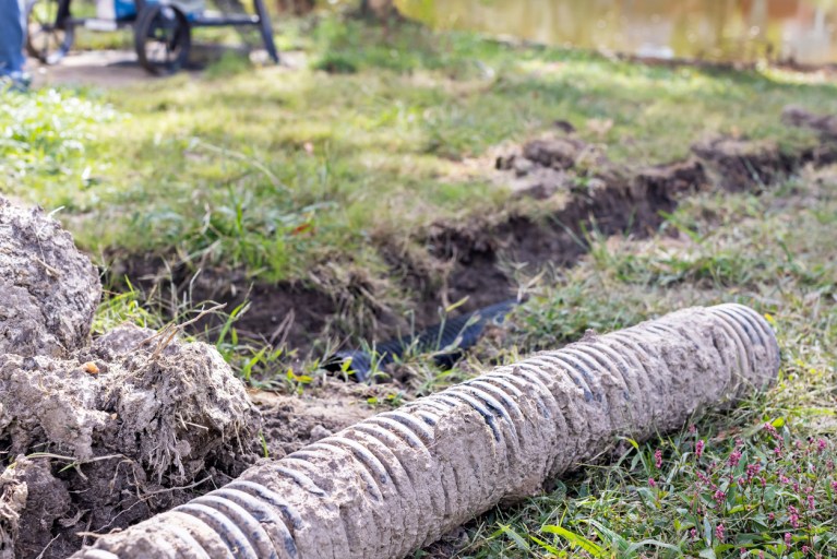10 DIY Yard Drainage Solutions to Protect Your Home’s Foundation