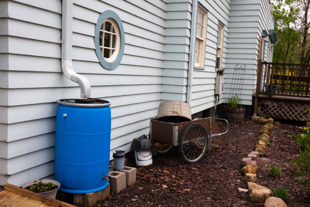 10 DIY Yard Drainage Solutions to Protect Your Home’s Foundation