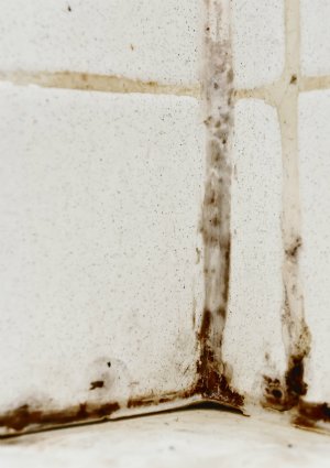 How to Get Rid of Mildew Smell (Homeowner's Guide) - Bob Vila