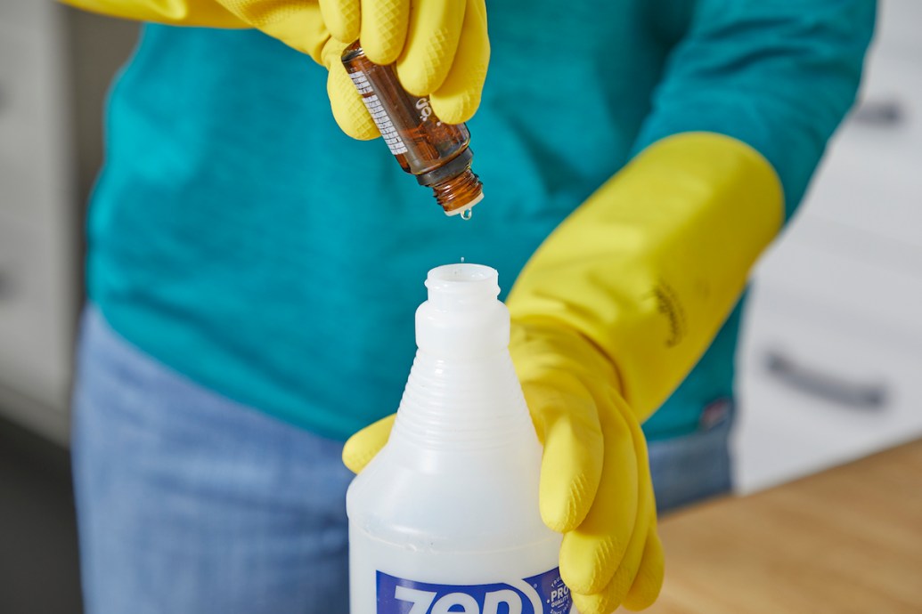 How to Get Rid of Spiders Inside the Home