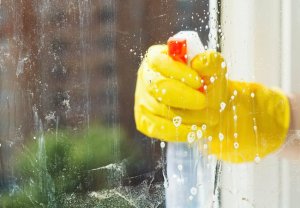 How to Clean Window Screens