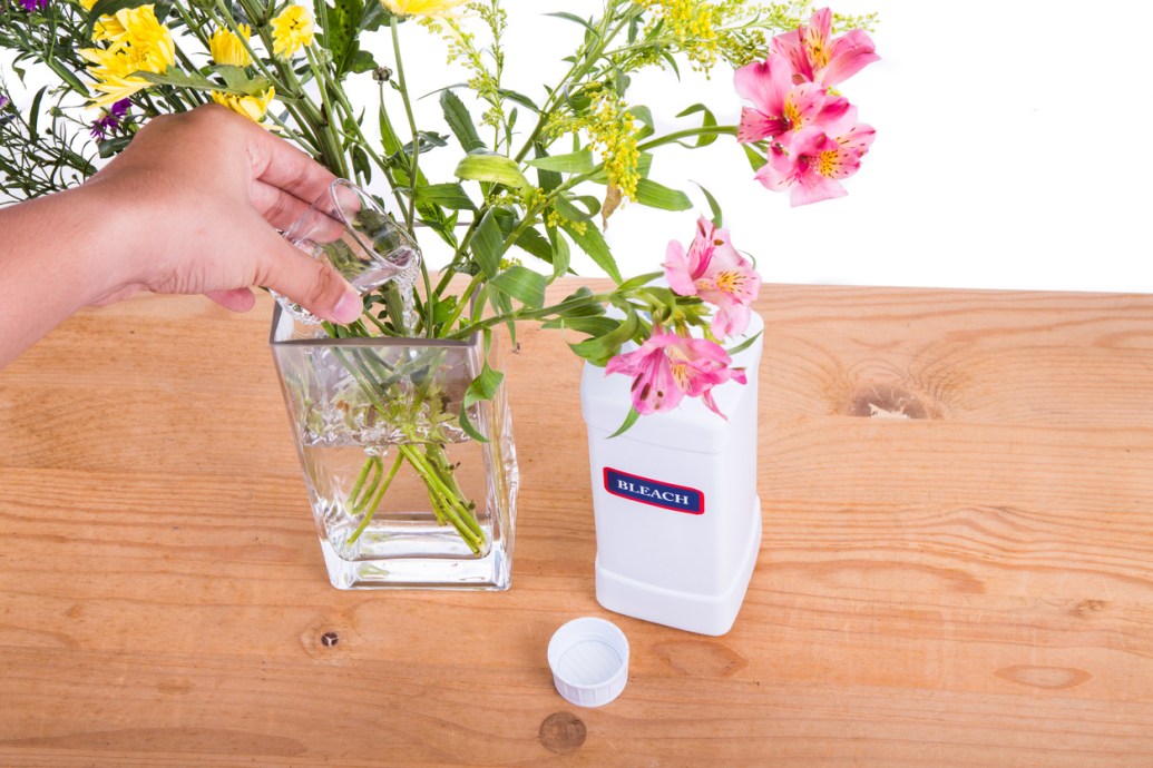 6 Ways to Keep Cut Flowers Fresh Longer - Bob Vila