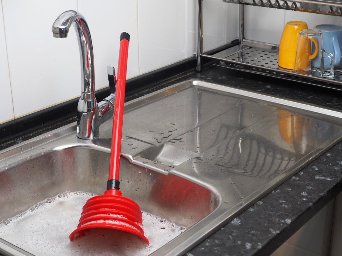 How to Get Rid of Drain Flies | Drain Fly Prevention