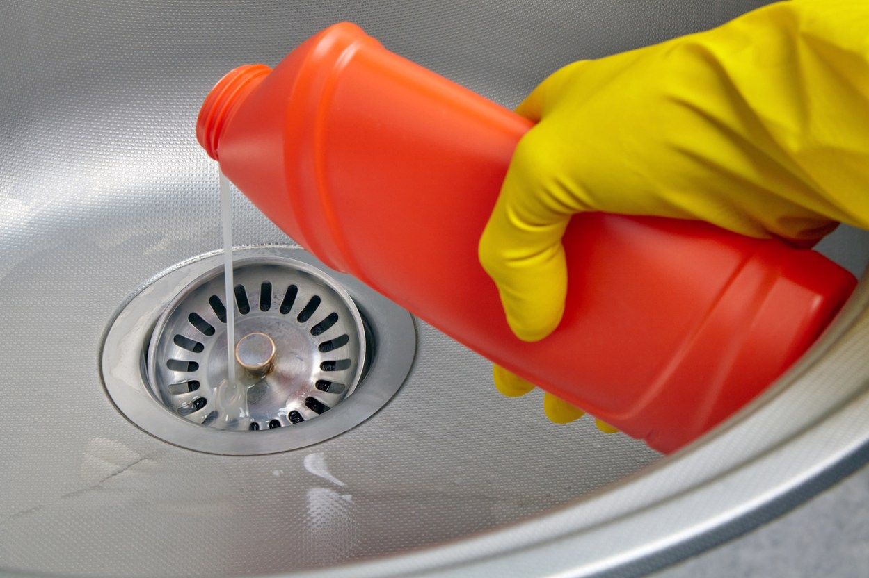 How to Get Rid of Drain Flies | Drain Fly Prevention