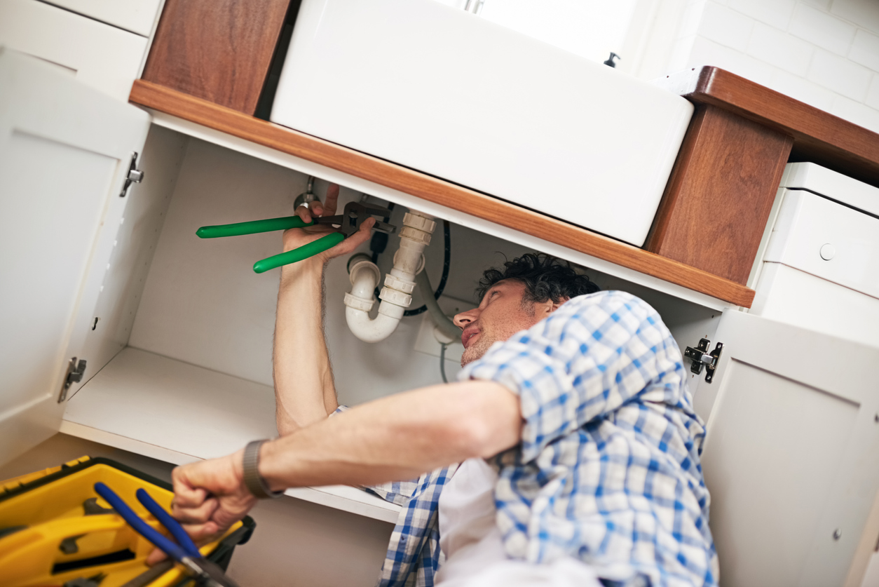 How to Get Rid of Drain Flies | Drain Fly Prevention - Bob Vila