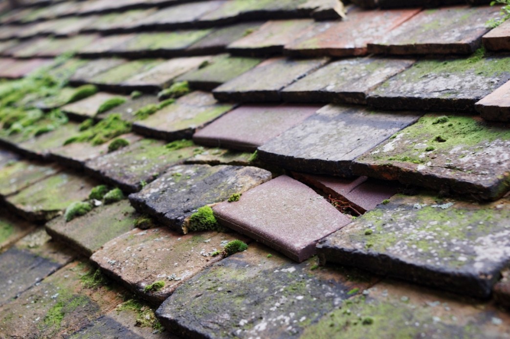 How to Remove Moss From a Roof