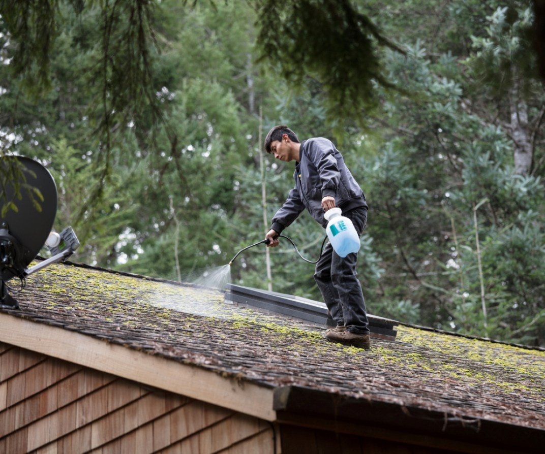 How to Remove Moss From a Roof