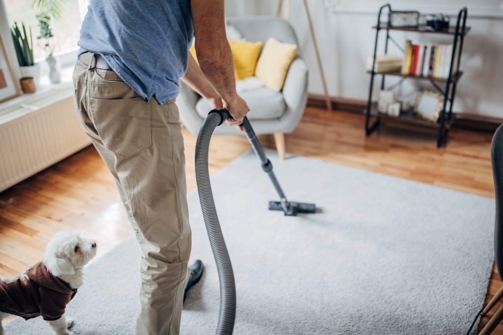 How to Get Dents Out of Carpet