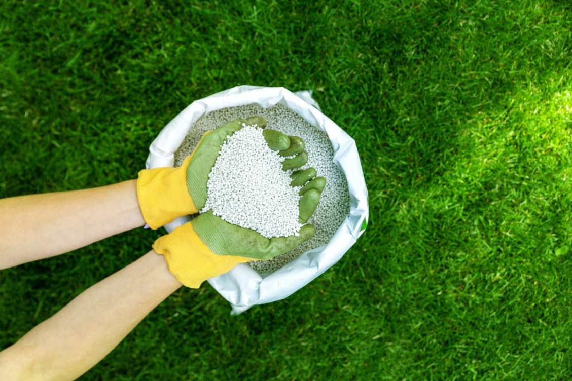 This is When to Fertilize the Lawn, No Matter Your Grass Type - Bob Vila