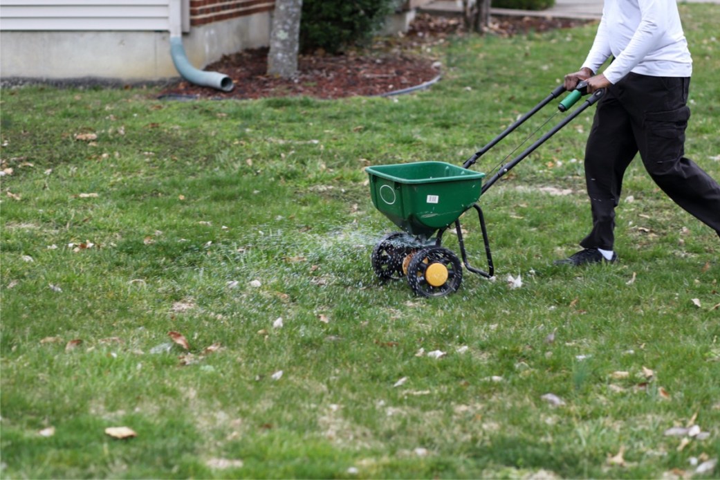 This is When to Fertilize the Lawn, No Matter Your Grass Type - Bob Vila