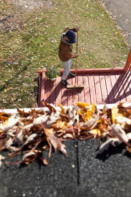 The Dos and Don'ts of Deck Maintenance - Bob Vila