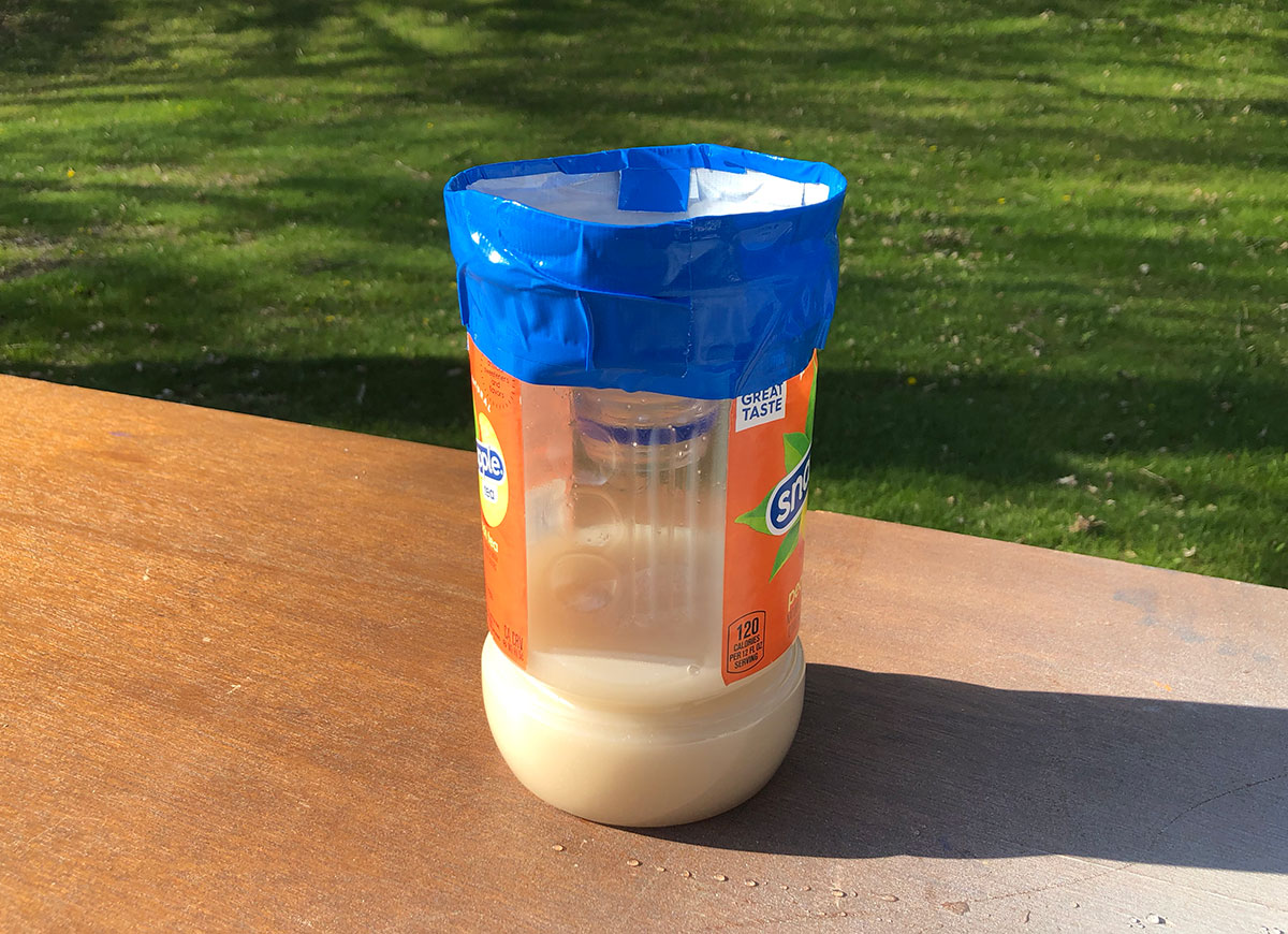 3 Cheap and Easy Ways to Make a DIY Mosquito Trap