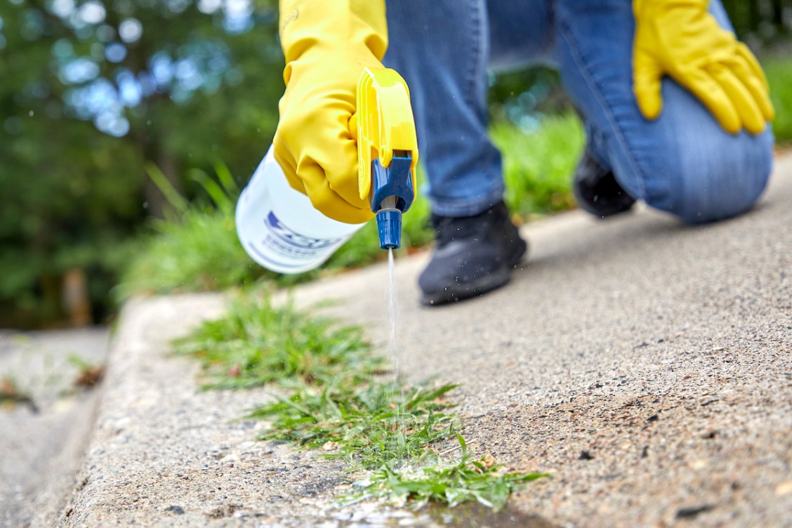 How to Make Weed Killer: 6 Natural and Effective Methods