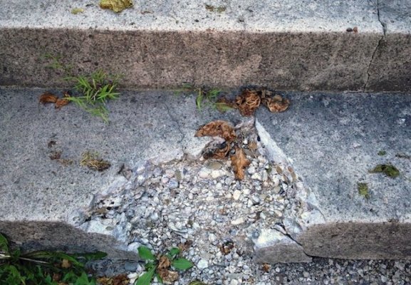 How to Repair Concrete Steps (Project Summary) - Bob Vila