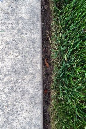 How to Edge a Lawn (Project Summary) - Bob Vila