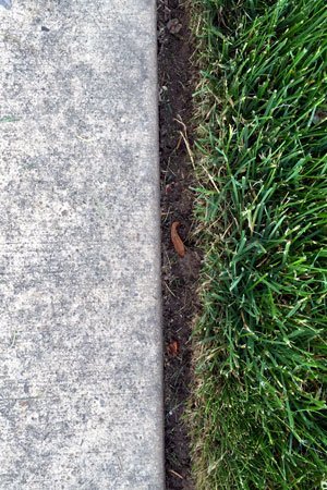How to Edge a Lawn (Project Summary) - Bob Vila
