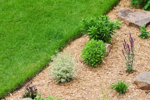 How to Edge a Lawn