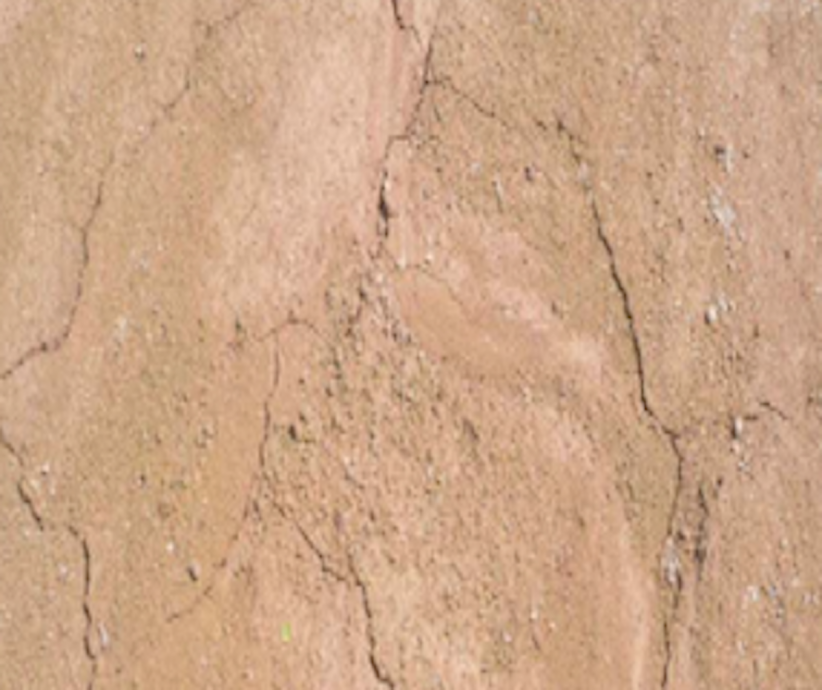 4 Types of Soil Every Gardener Should Know