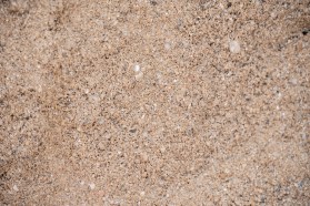 4 Types of Soil Every Gardener Should Know