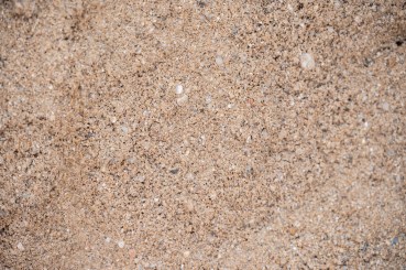 4 Types of Soil Every Gardener Should Know