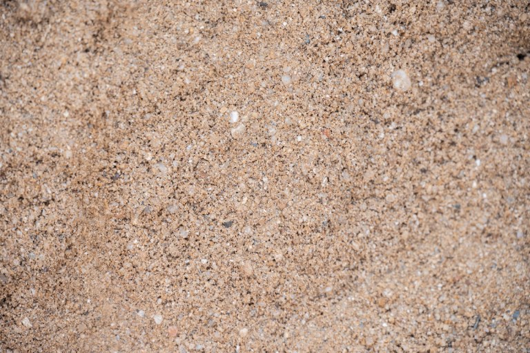 4 Types of Soil Every Gardener Should Know