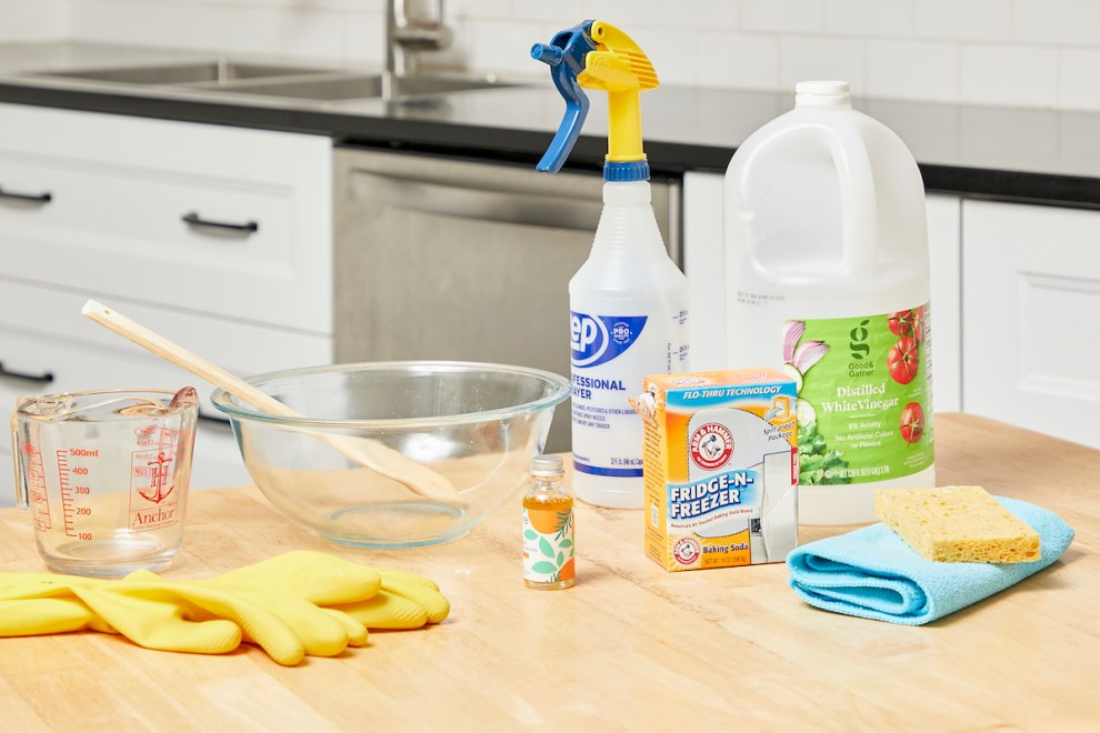 Easy DIY Homemade Oven Cleaner Recipe