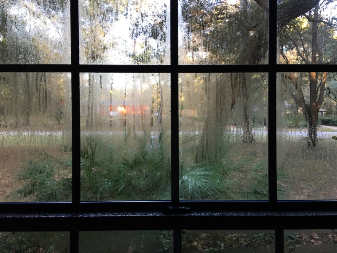 Condensation on Windows: Why It Happens, and What to Do About It
