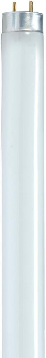 Types of Light Bulbs and Light Bulb Shapes Every Homeowner Should Know